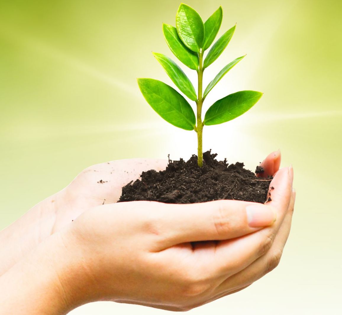 Grow and Evolve Counselling